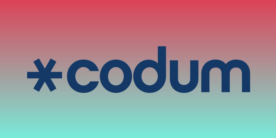 کد نویسی آسان‌ و سریع‌ با IDE های هوش مصنوعی | رادینو